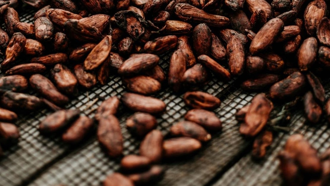 The Art of Roasting Cocoa Beans - Chocopedia - Cocoa Runners
