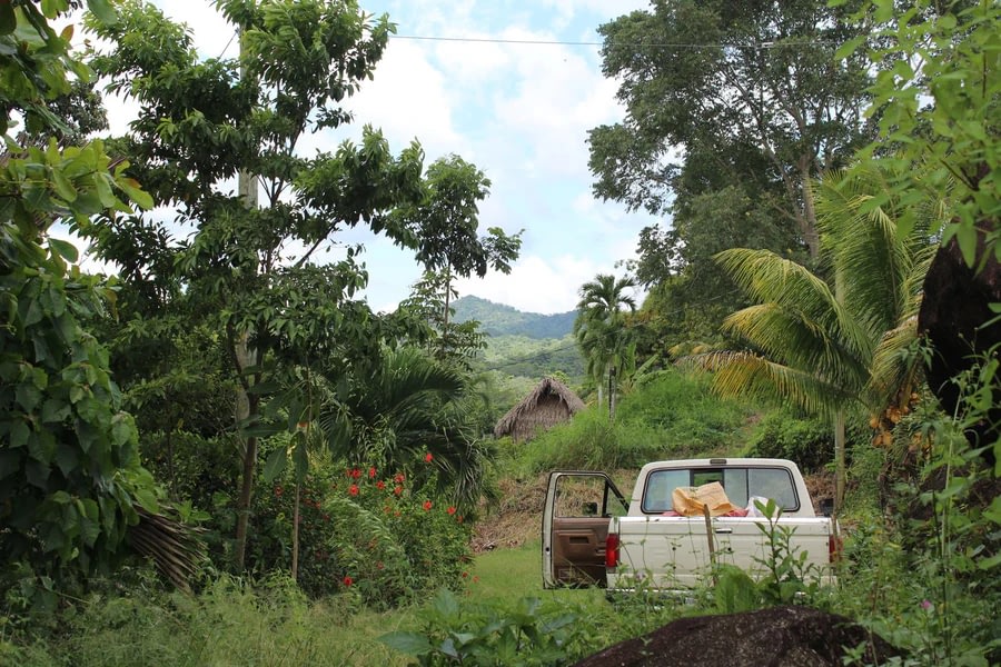 What can cacao origin really tell us? - Cocoa Runners