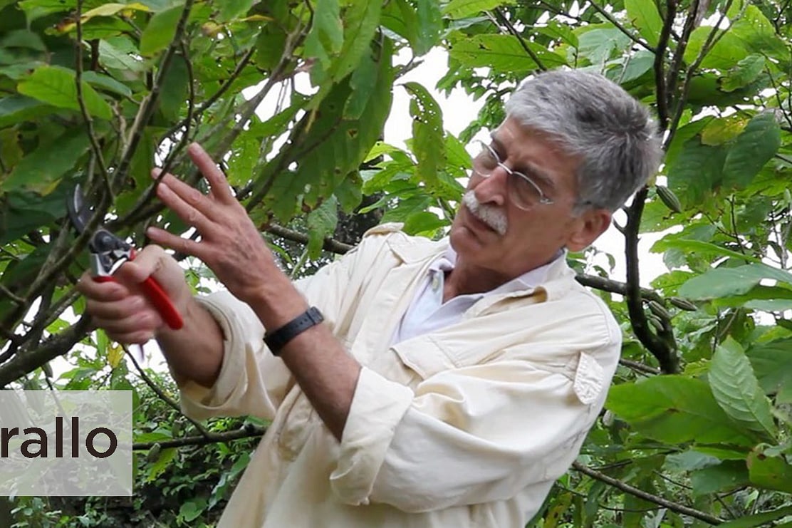 Claudio Corallo 80% Chocolate with Sugar Crystals