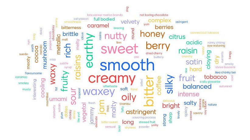 Taste, Flavour, Texture and Mouthfeel in Chocolate - Cocoa Runners