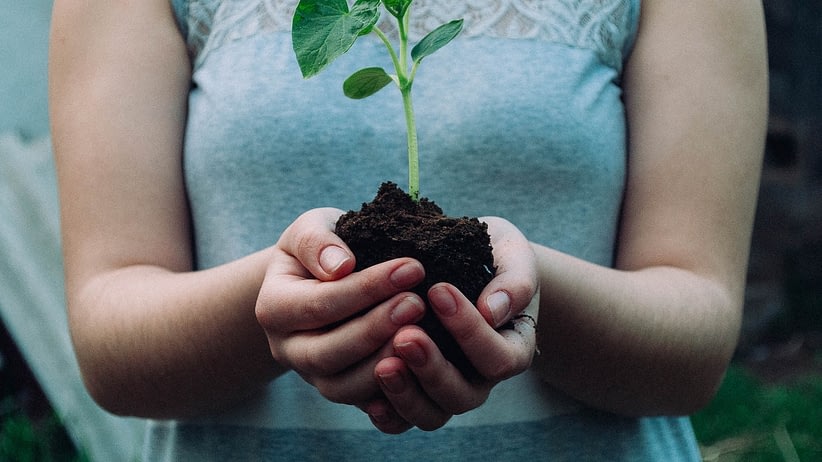 Ethics in the Chocolate Industry - Chocopedia - Cocoa Runners