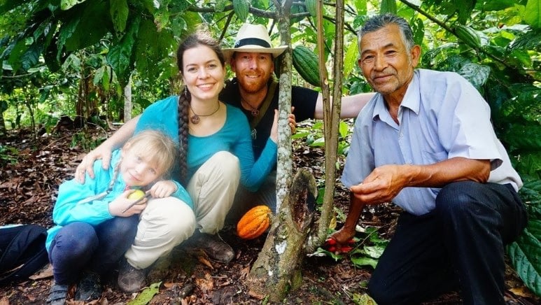 Chocolate Tree - Nordic Berries Milk 50% - Cocoa Runners